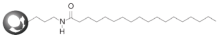 POLAR C18 – OneTwo Chromatography